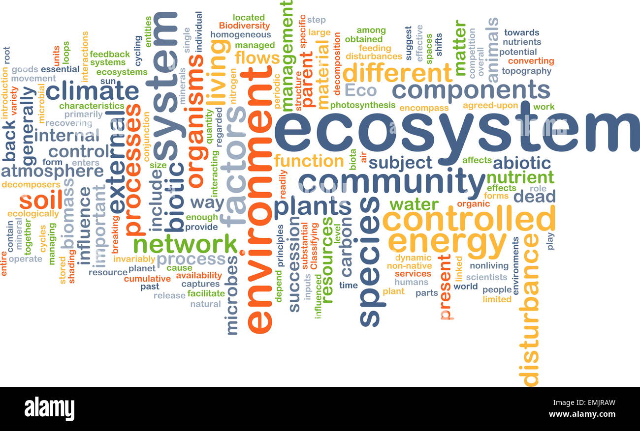 Components of ecosystem hi-res stock photography and images - Alamy