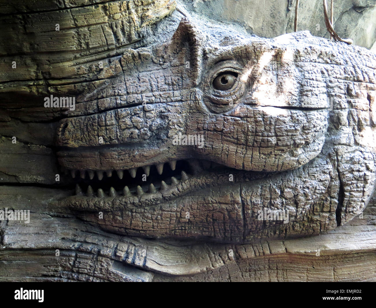 Realistic tyrannosaurus rex hi-res stock photography and images - Alamy