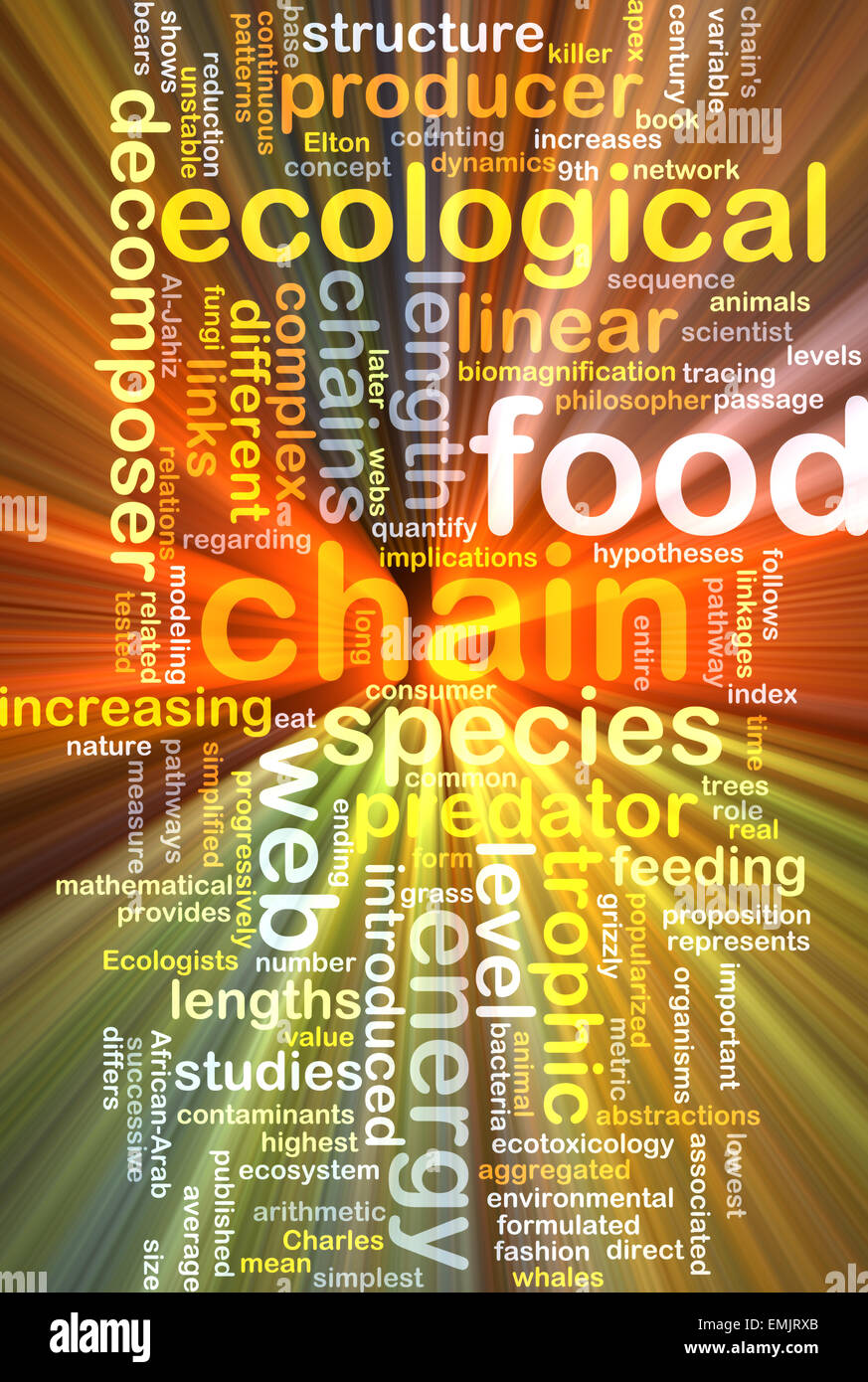Background text pattern concept wordcloud illustration of food chain ...