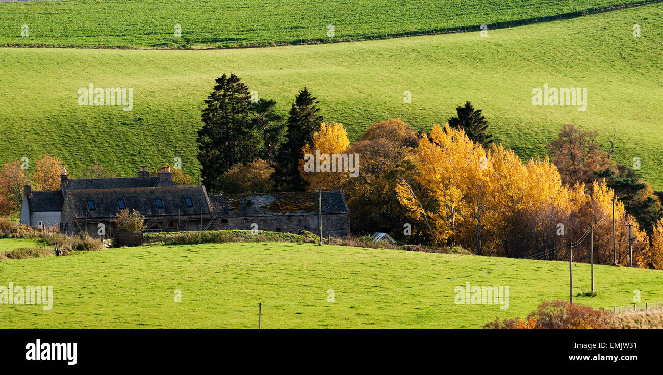 Rolling green fields, autumn colours, and farm in the Scottish ...