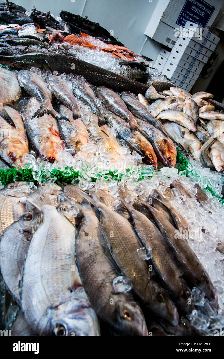Fish vendor marsaxlokk market hi-res stock photography and images - Alamy
