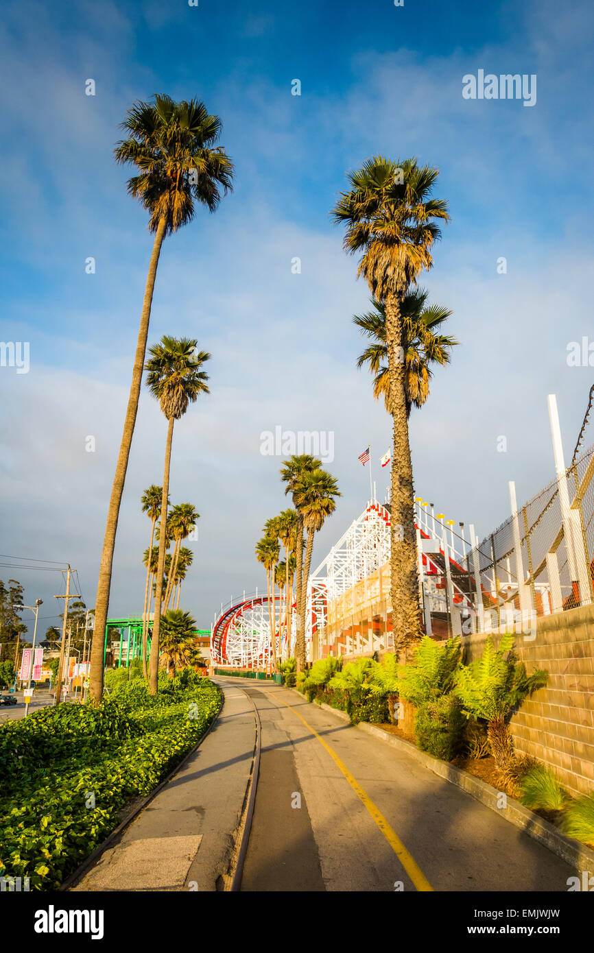 Trees along pacific ocean hi-res stock photography and images - Alamy