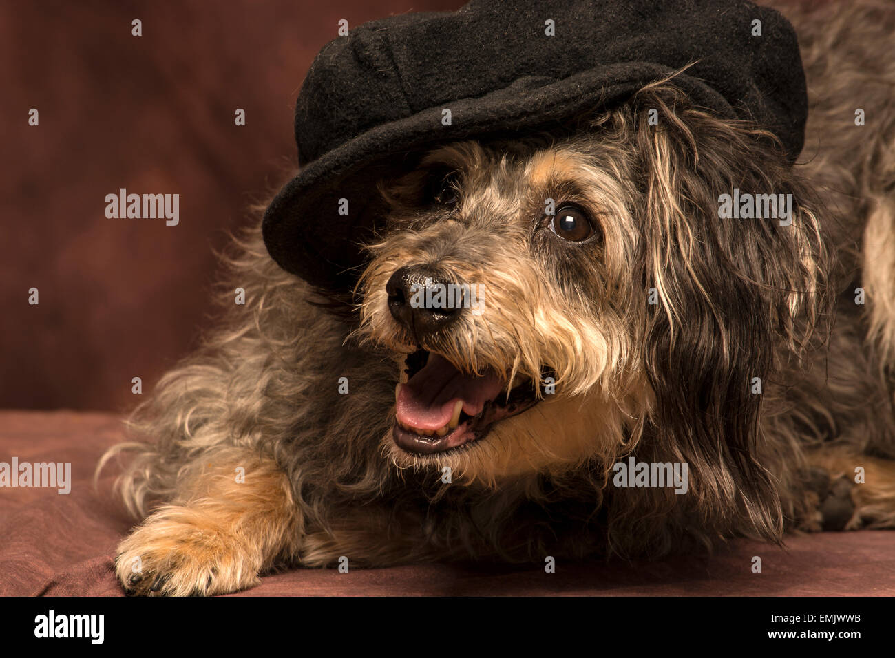 Mod cap hi-res stock photography and images - Alamy