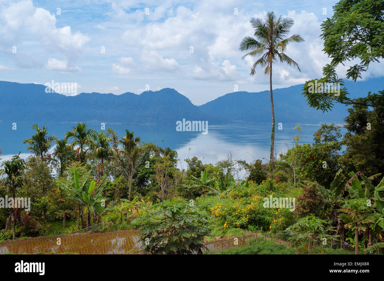 Lake Maninjau (Danau Maninjau) is a caldera lake in West Sumatra ...