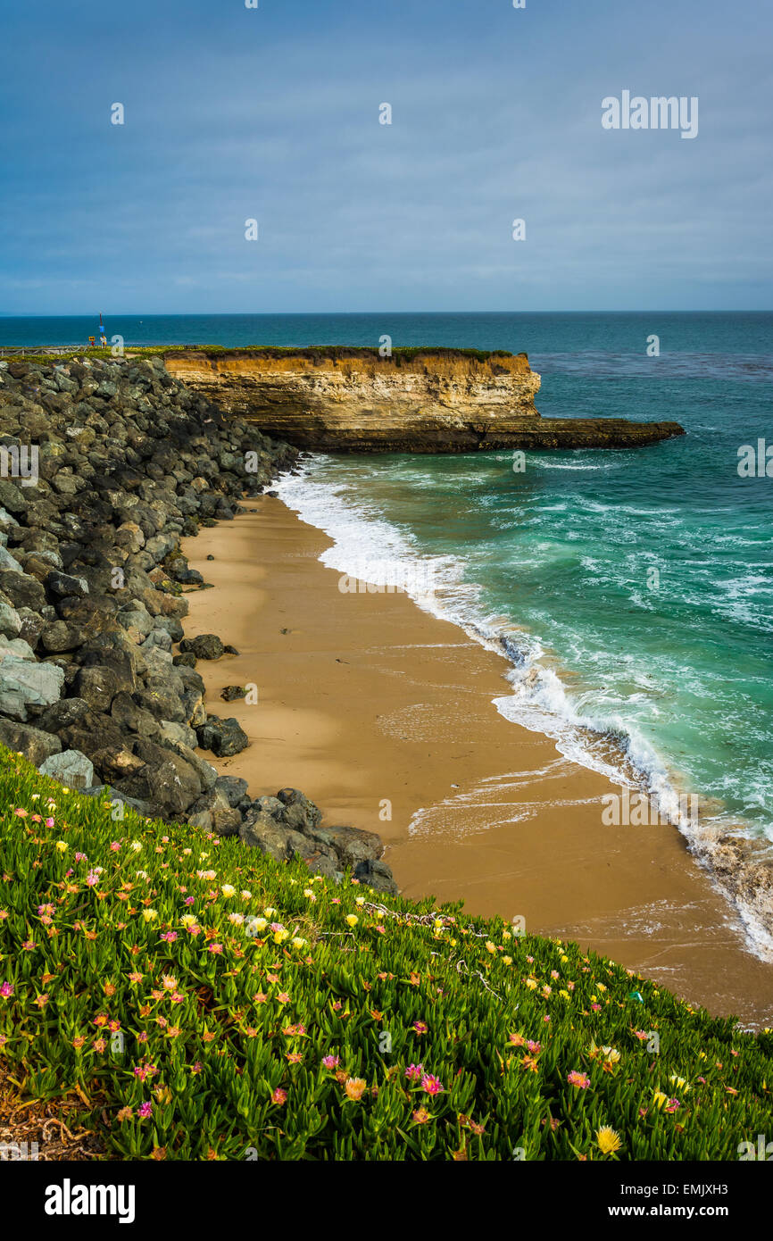 View of a small cove beach in Santa Cruz, California Stock Photo - Alamy