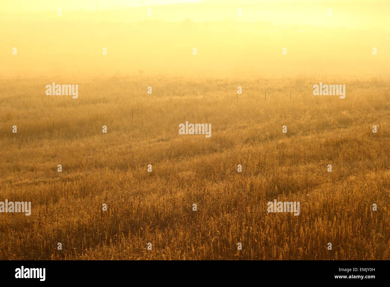 Faded brown colors hi-res stock photography and images - Alamy
