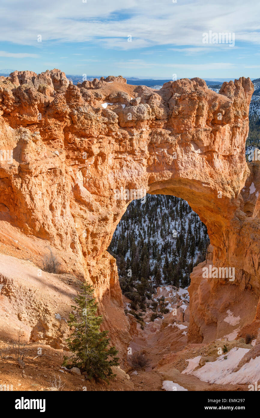 The arch at Agua Canyon inside Bryce Canyon national park, Utah Stock ...