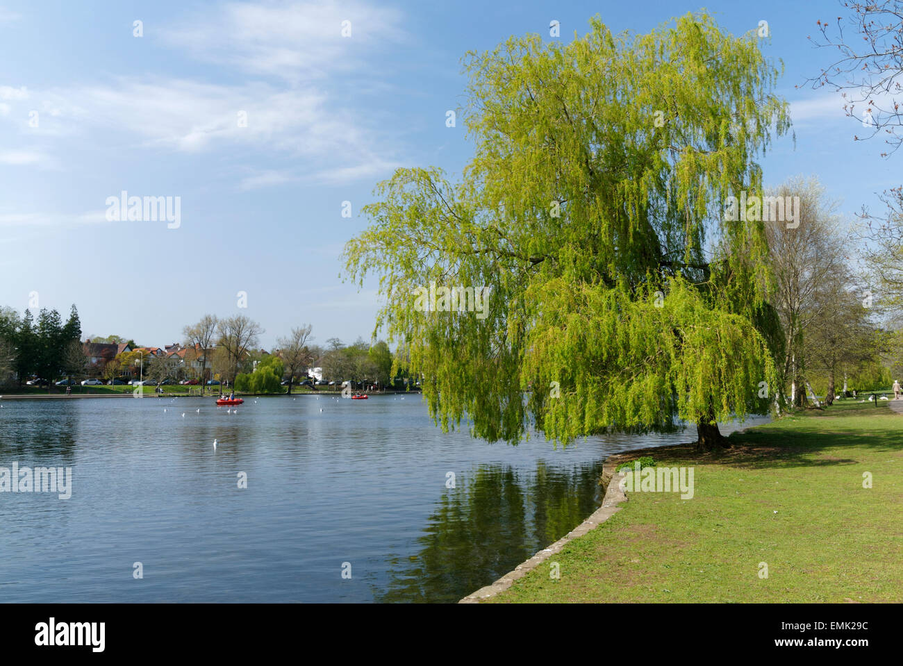 Willow lake park hi-res stock photography and images - Alamy