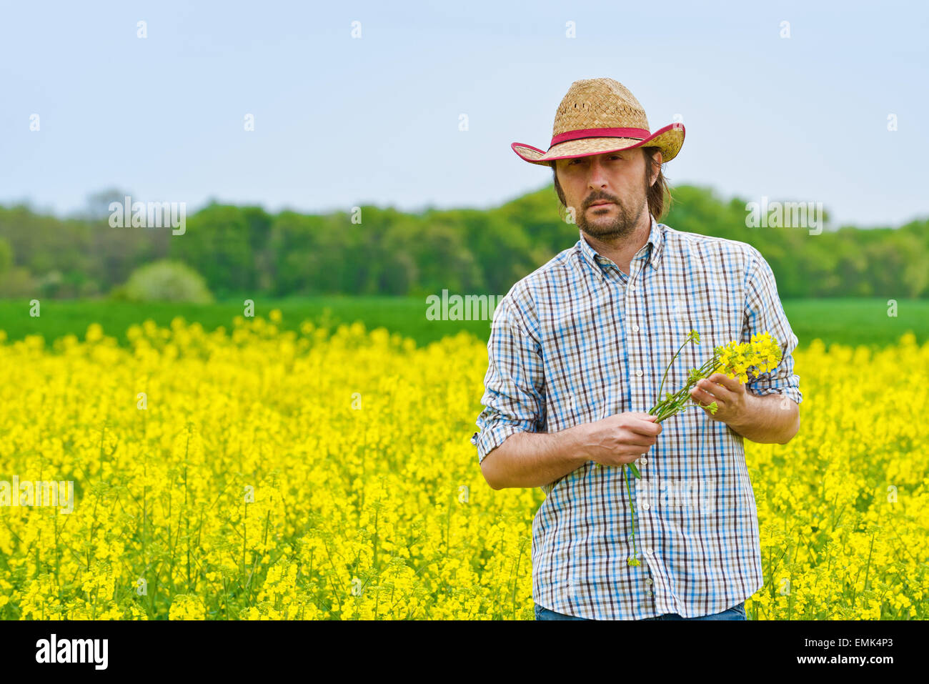 Male Farmer Standing in Oilseed Rapeseed Cultivated Agricultural Field ...