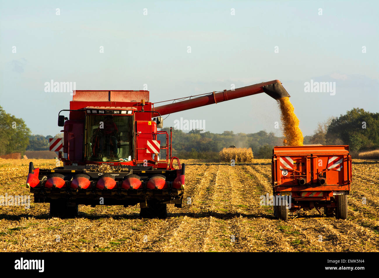 Field corn being harvested in hi-res stock photography and images - Alamy
