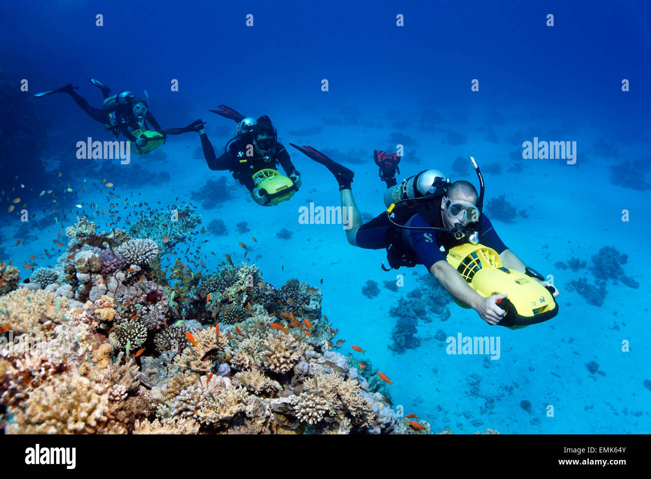 Divers with diver propulsion vehicles exploring a coral reef, Soma Bay ...