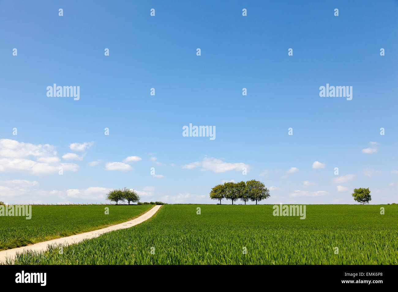 Walnut field hi-res stock photography and images - Alamy