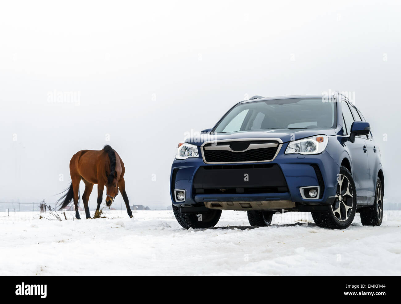Powerful 4x4 offroader car and horse, winter landscape background Stock ...
