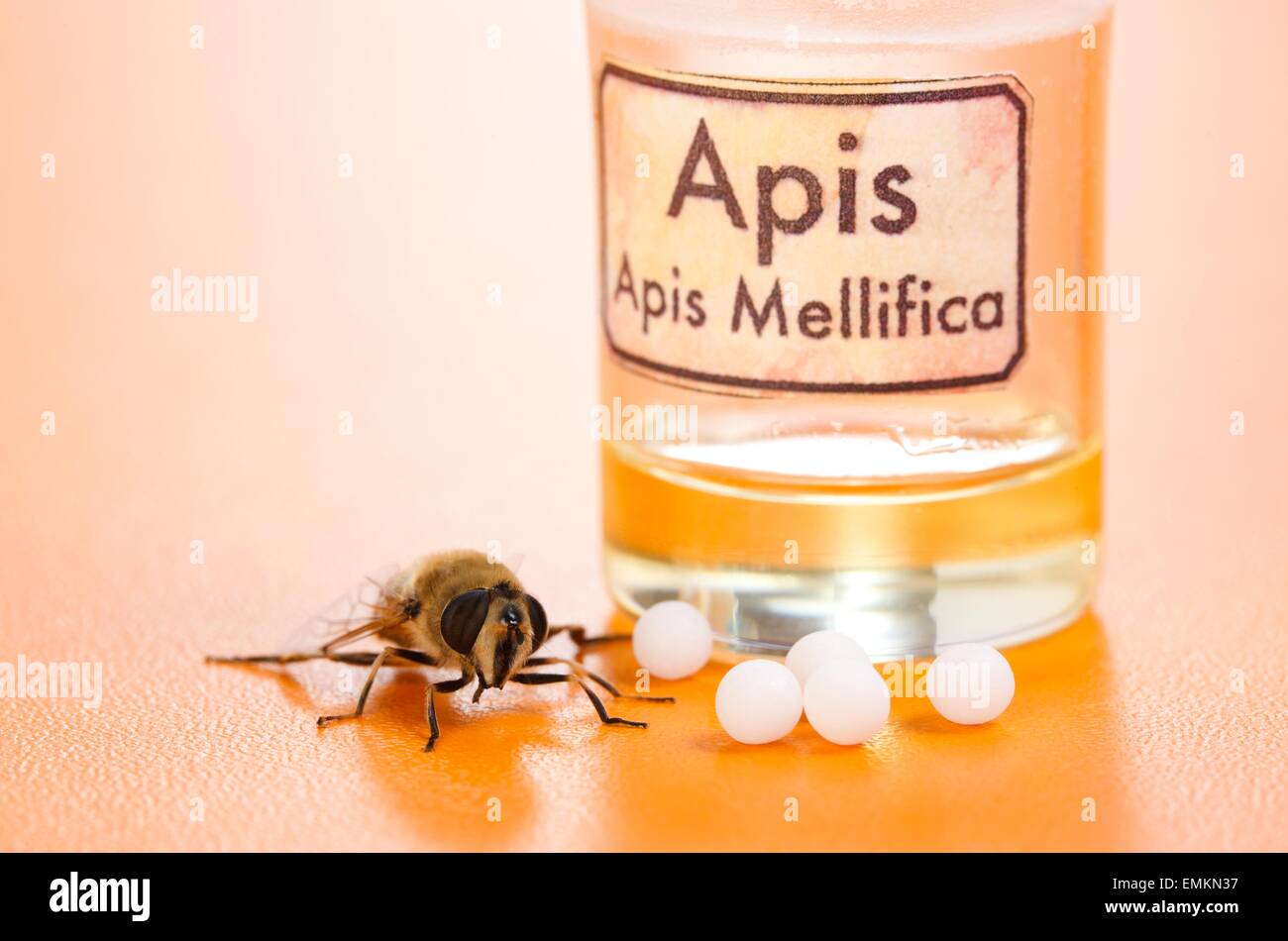 Apis Mellifica homeopathic pills, poison extract and the real bee on ...