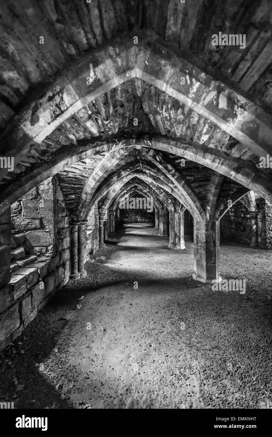 Finchale abbey hi-res stock photography and images - Alamy