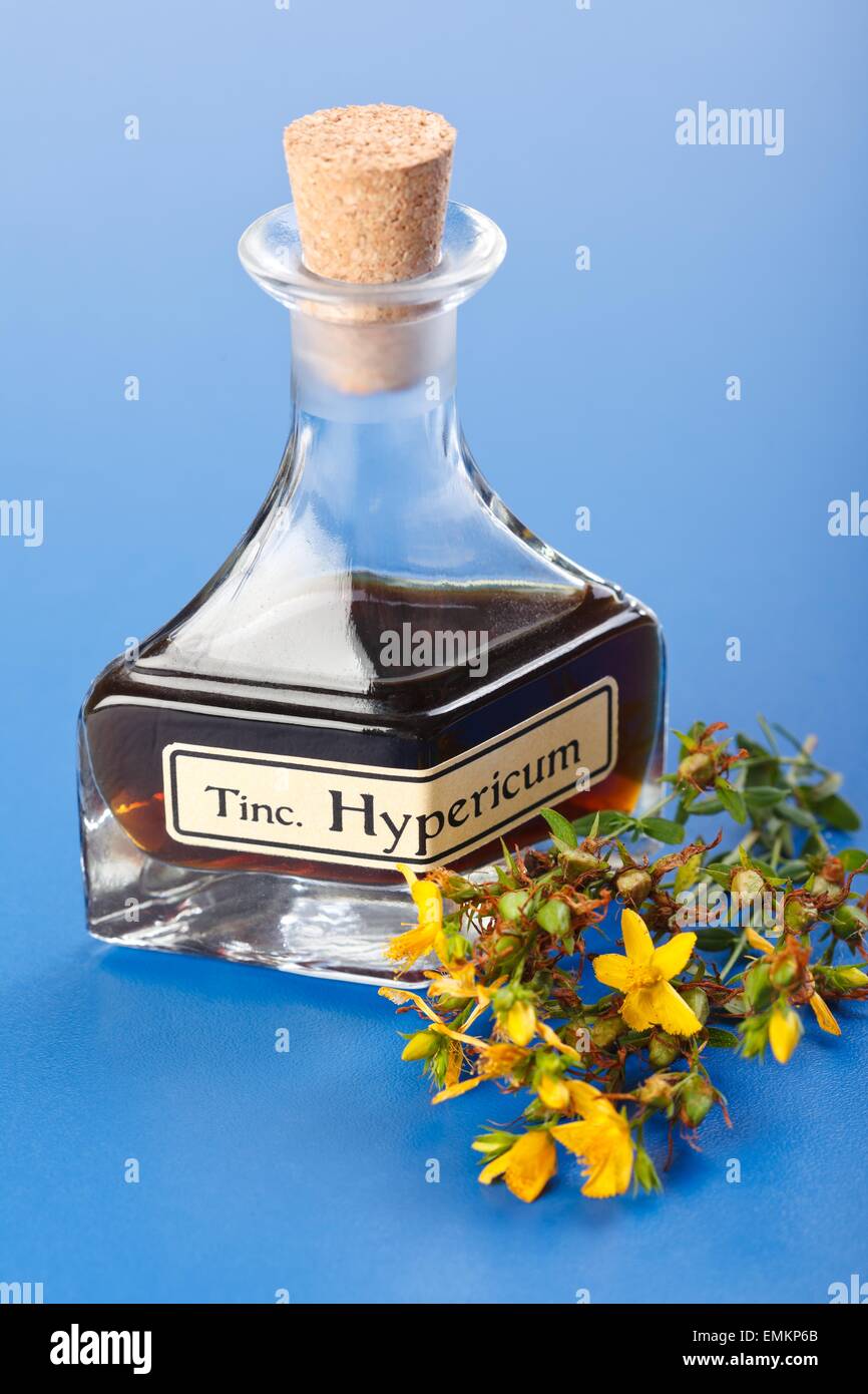 Hypericum flowers and plant extract mother tincture in bottle Stock ...