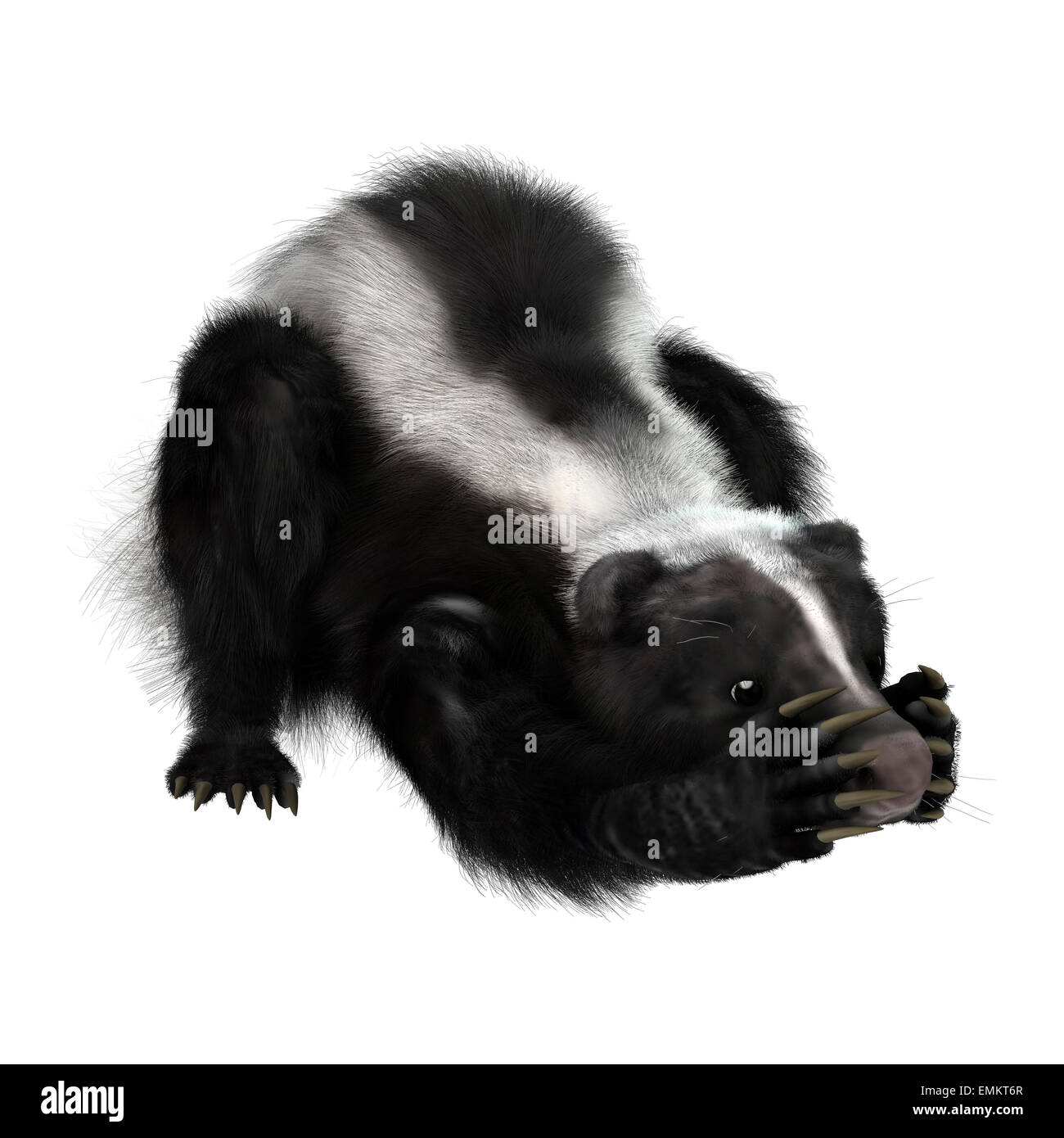 3D digital render of a funny skunk isolated on white background Stock ...