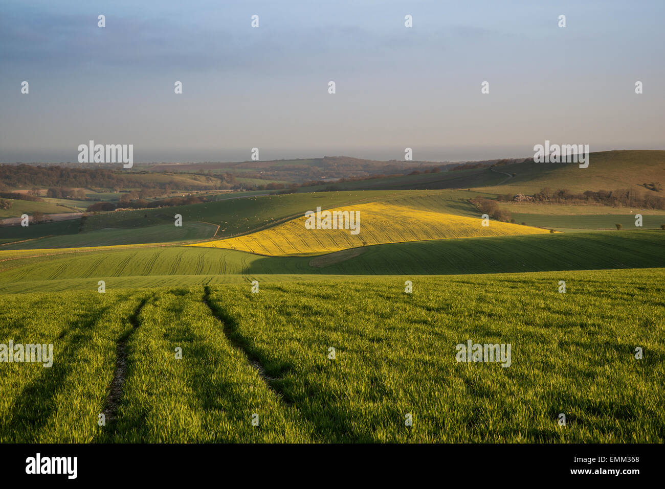 Spring morning over agricultural landscape in English countryside Stock ...