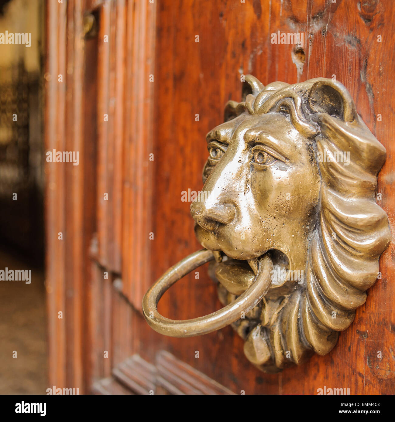 Knocker lion's head on a wooden door Stock Photo - Alamy
