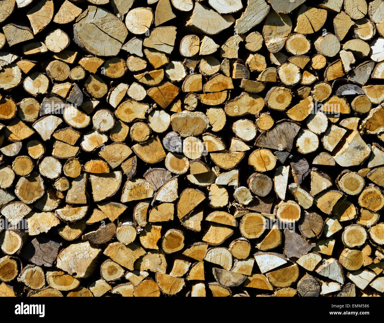 Stack of cut logs Stock Photo - Alamy