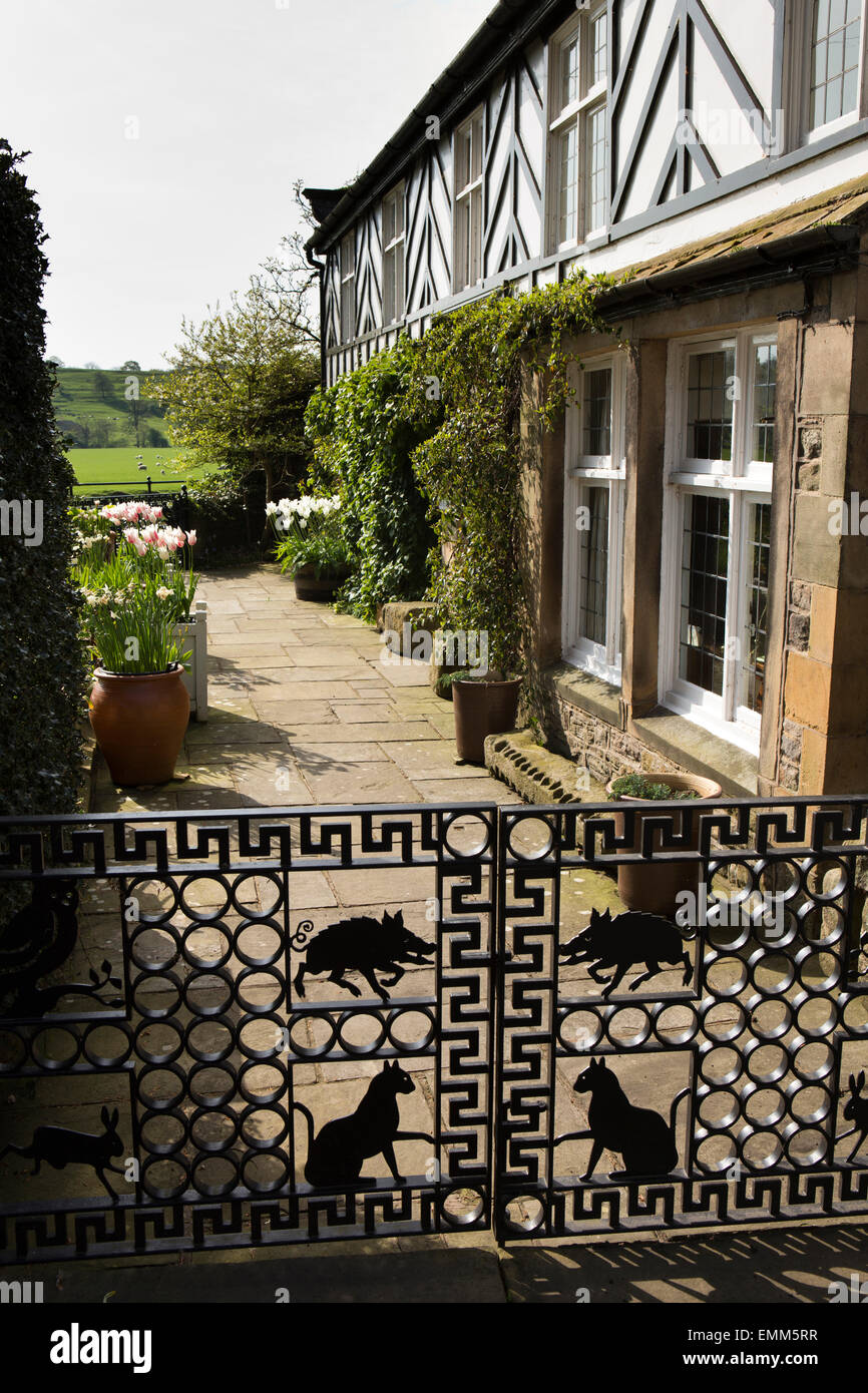 UK, England, Lancashire, Ribble Valley, Ribchester, unusual cat and ...