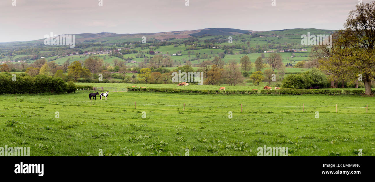 Ribble valley landscape hi-res stock photography and images - Alamy