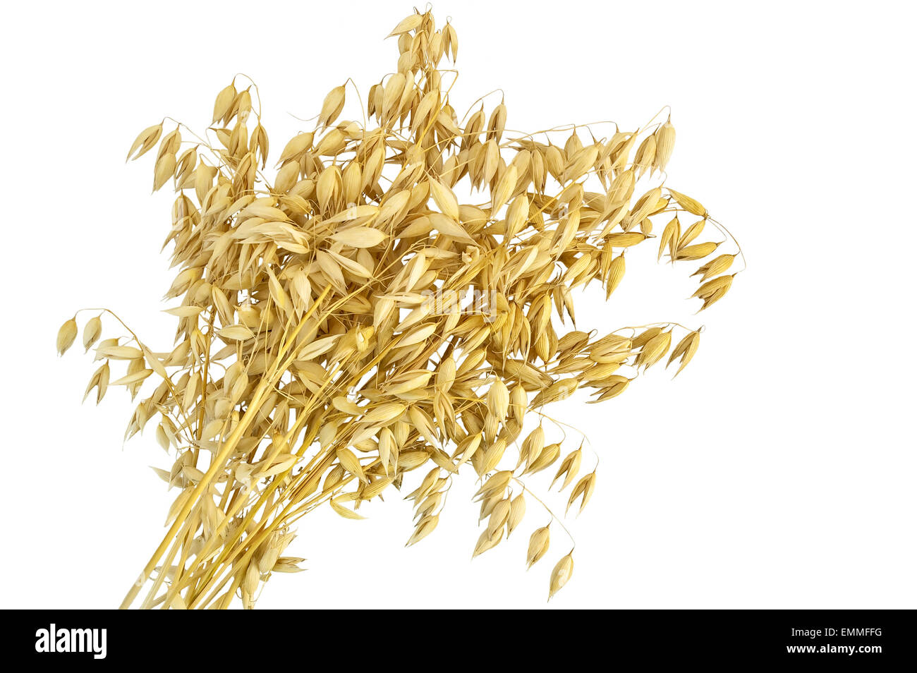 Oat sheaf hi-res stock photography and images - Alamy