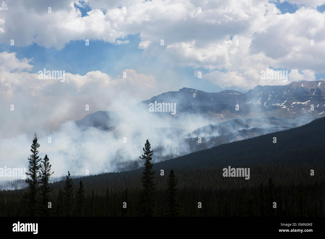 Forest fire forest fire hi-res stock photography and images - Alamy