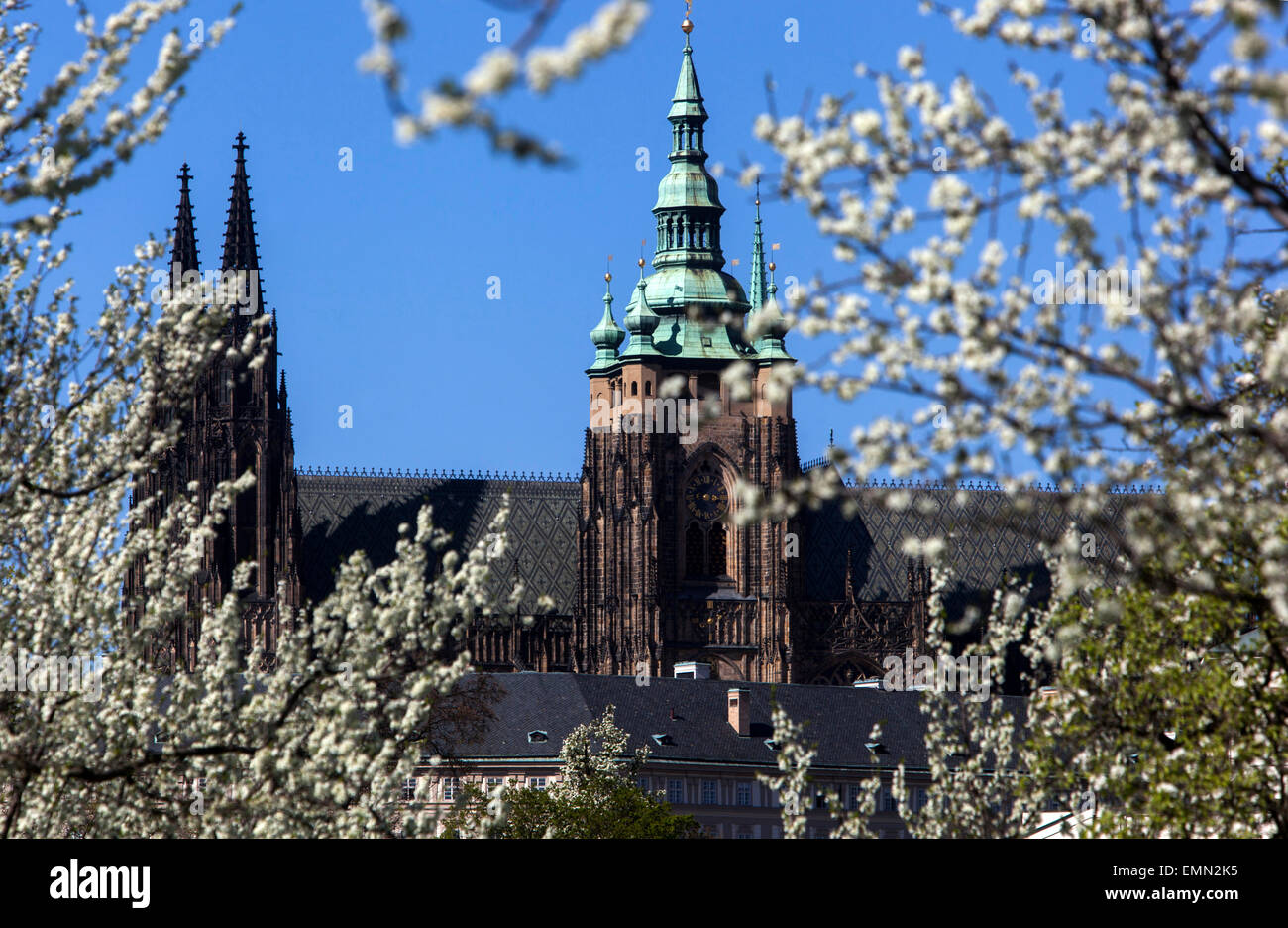 Prague Castle Spring view in Cherry Tree Prague Spring, Czech Republic ...
