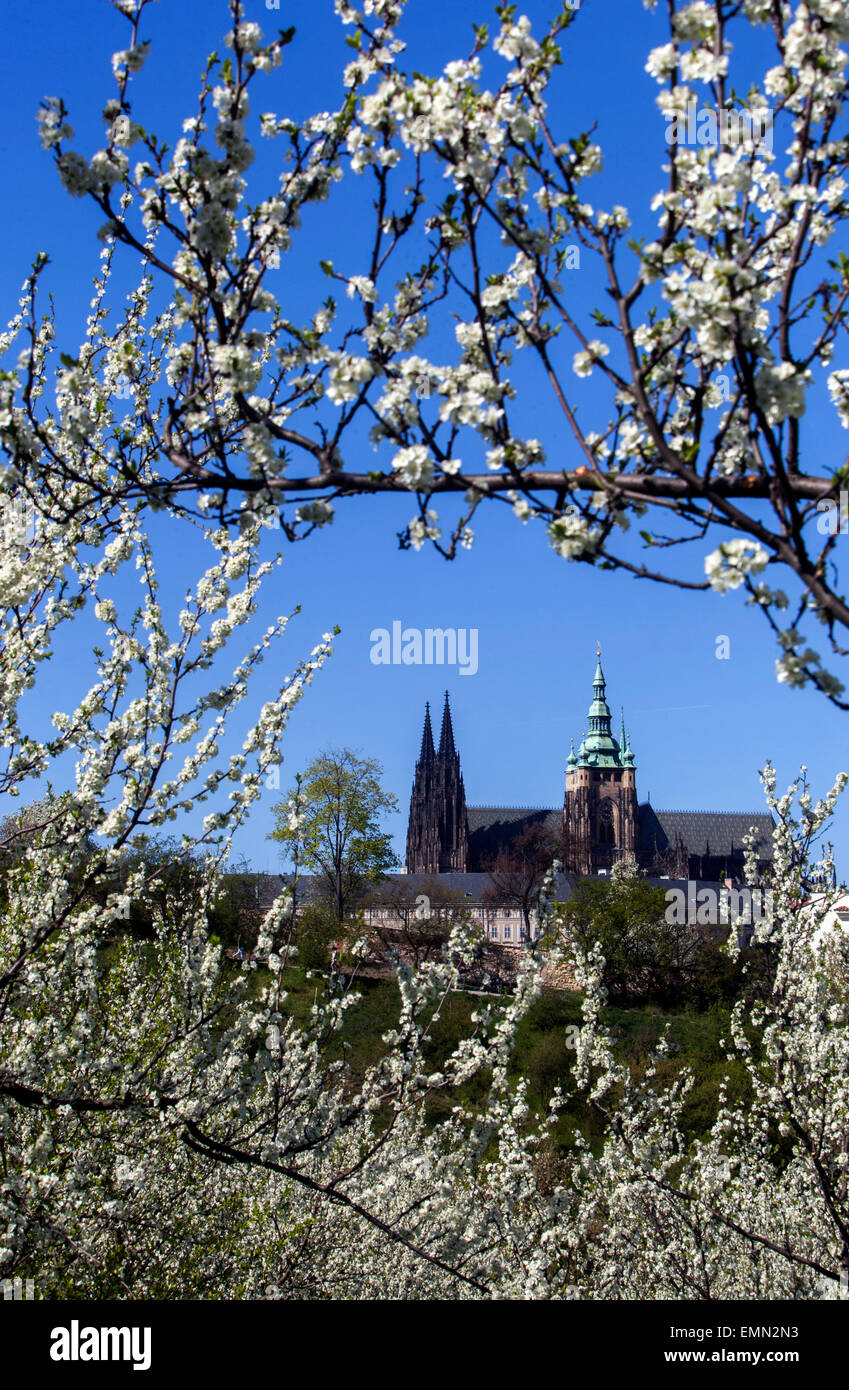 Castle castles st vitus cathedral hradcany petrin hill park hi-res ...