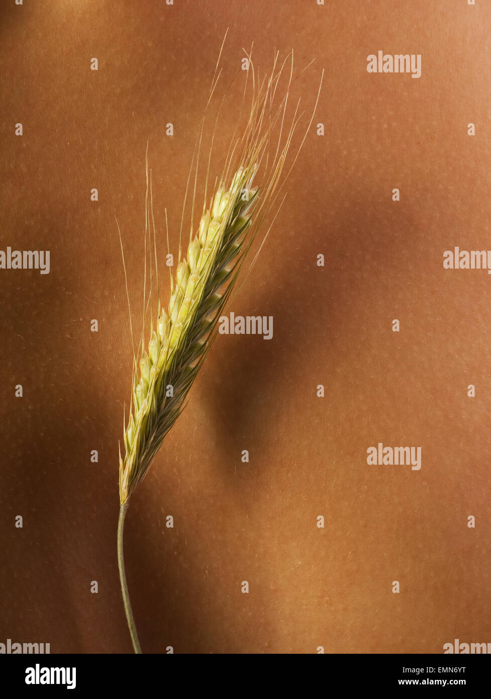 Wheat on human skin Stock Photo - Alamy