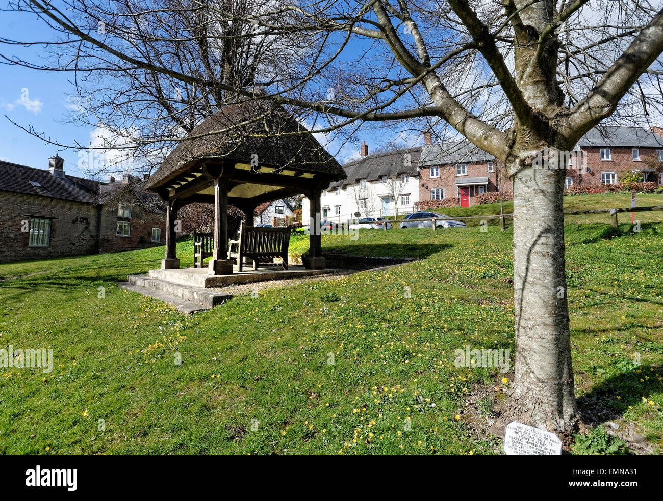 Tolpuddle martyrs village tree hi-res stock photography and images - Alamy