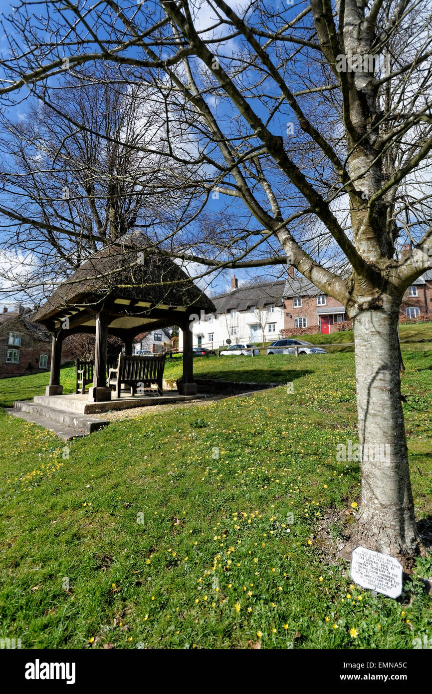 Tolpuddle martyrs village tree hi-res stock photography and images - Alamy