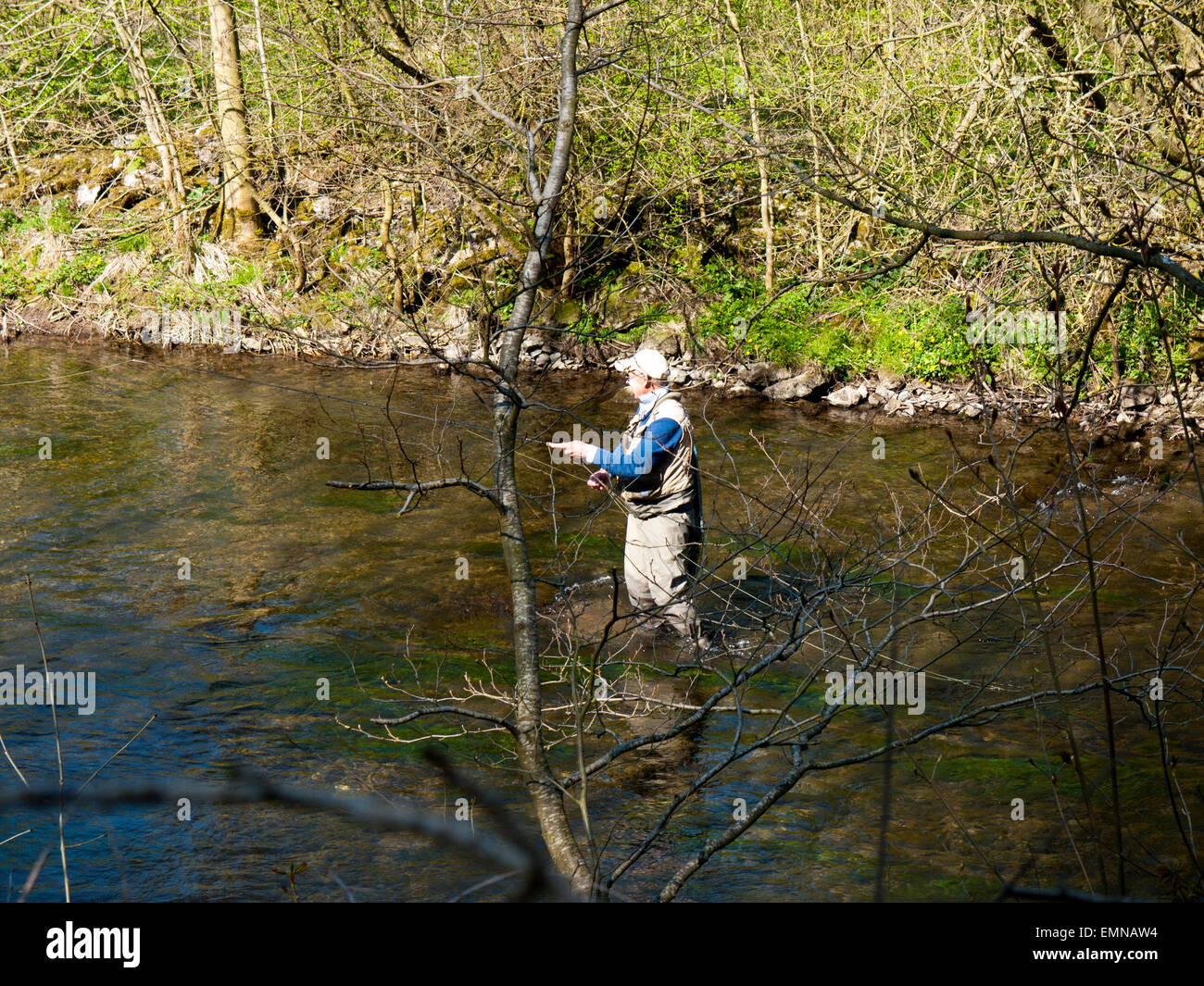 Fly fisherman on the river Wye upstream of Ashford in the Water,Peak ...