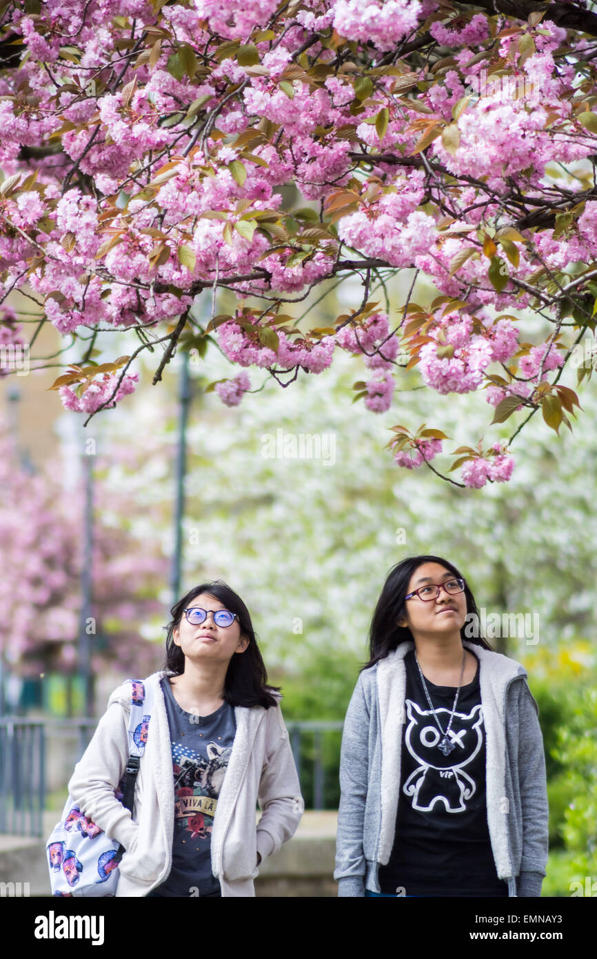 London, UK. 22nd April, 2015. Two students admire the blossom in St ...