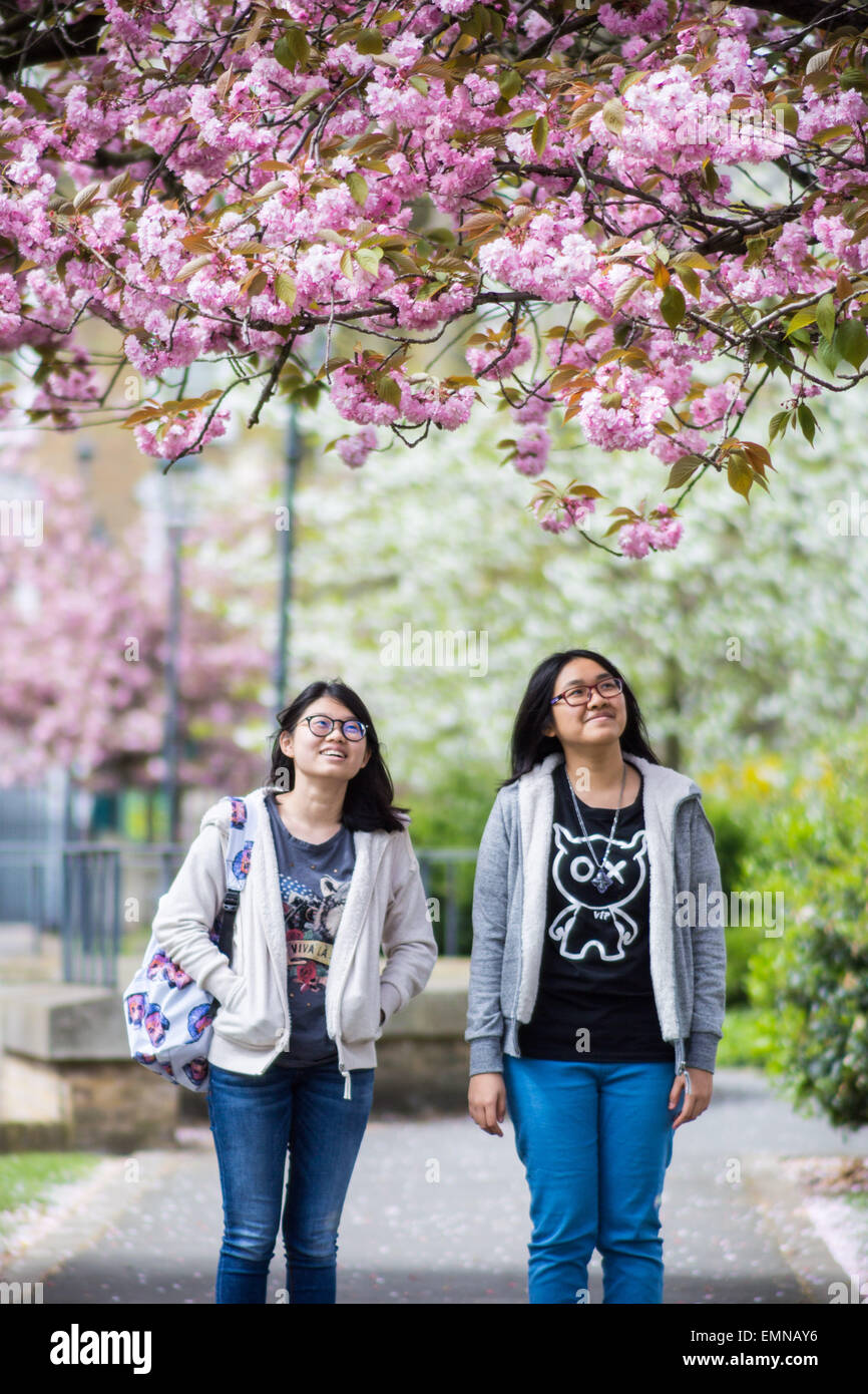 London, UK. 22nd April, 2015. Two students admire the blossom in St ...