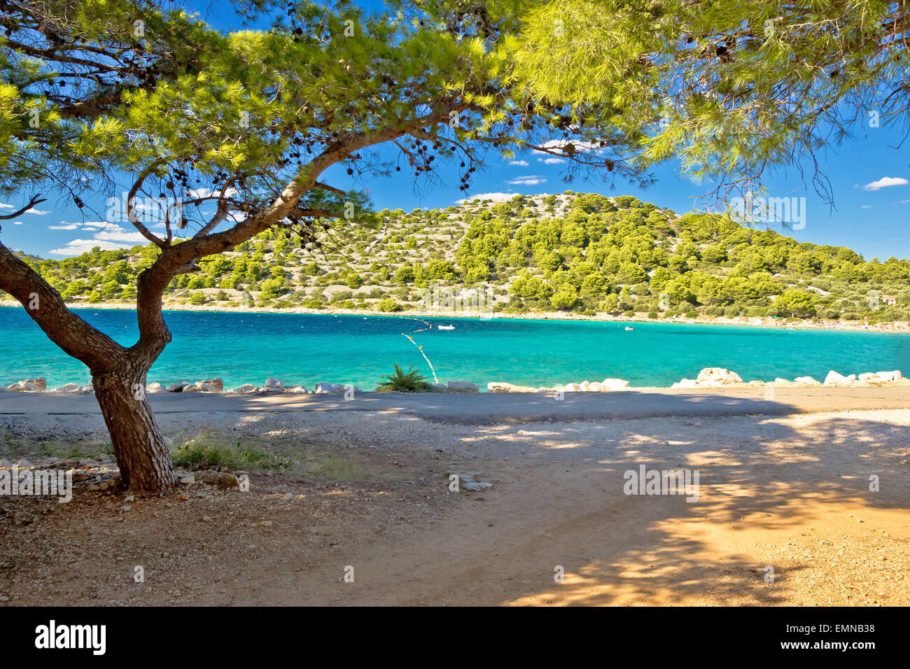 Turquoise pine tree beach of Croatia, Island of Murter in Dalmatia ...