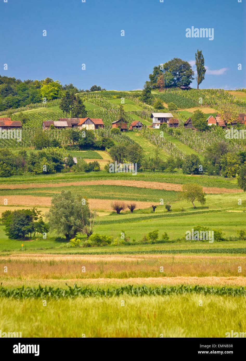 Green landscape vertical view hi-res stock photography and images - Alamy