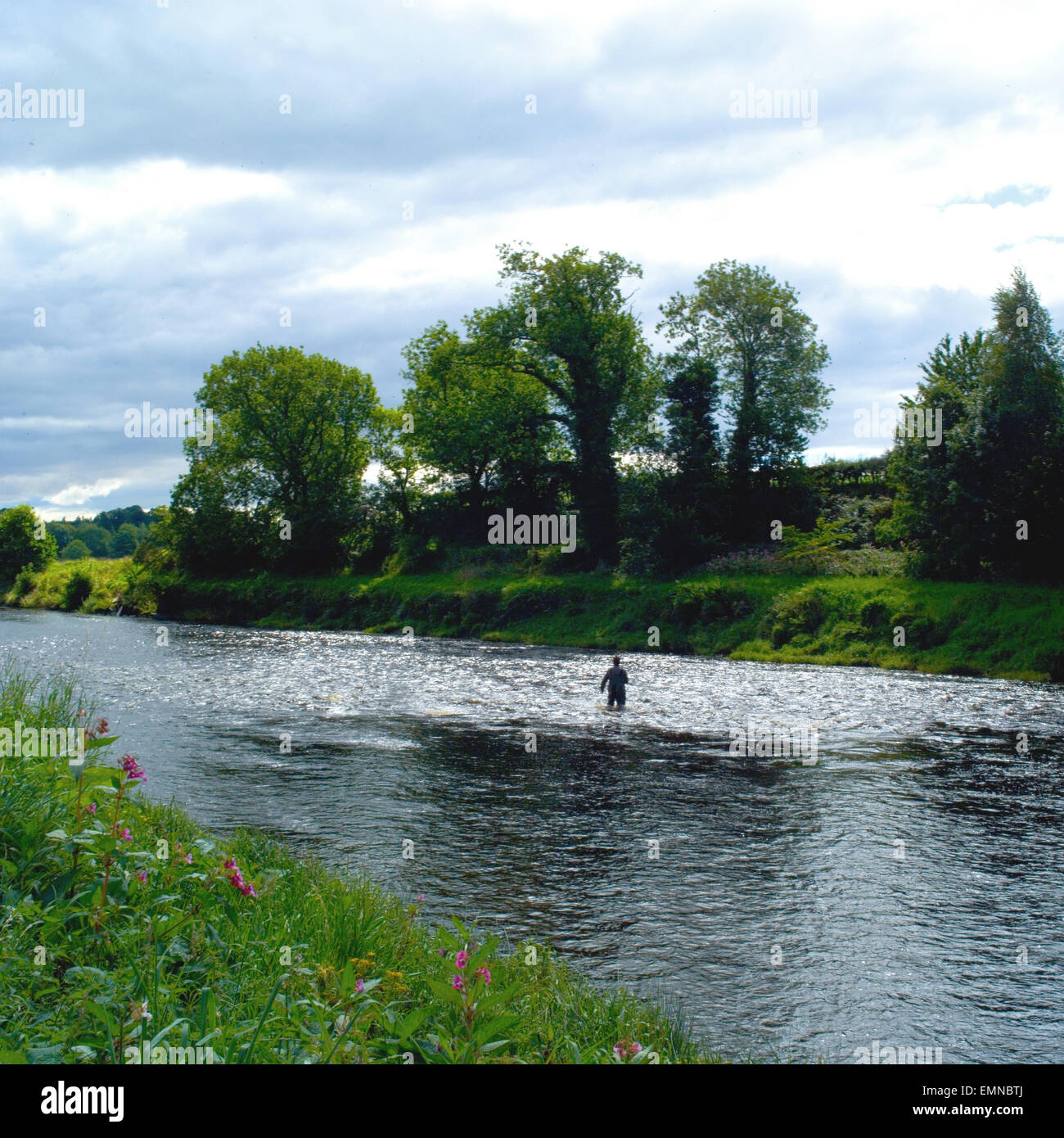 Trout fishing salmon hi-res stock photography and images - Alamy