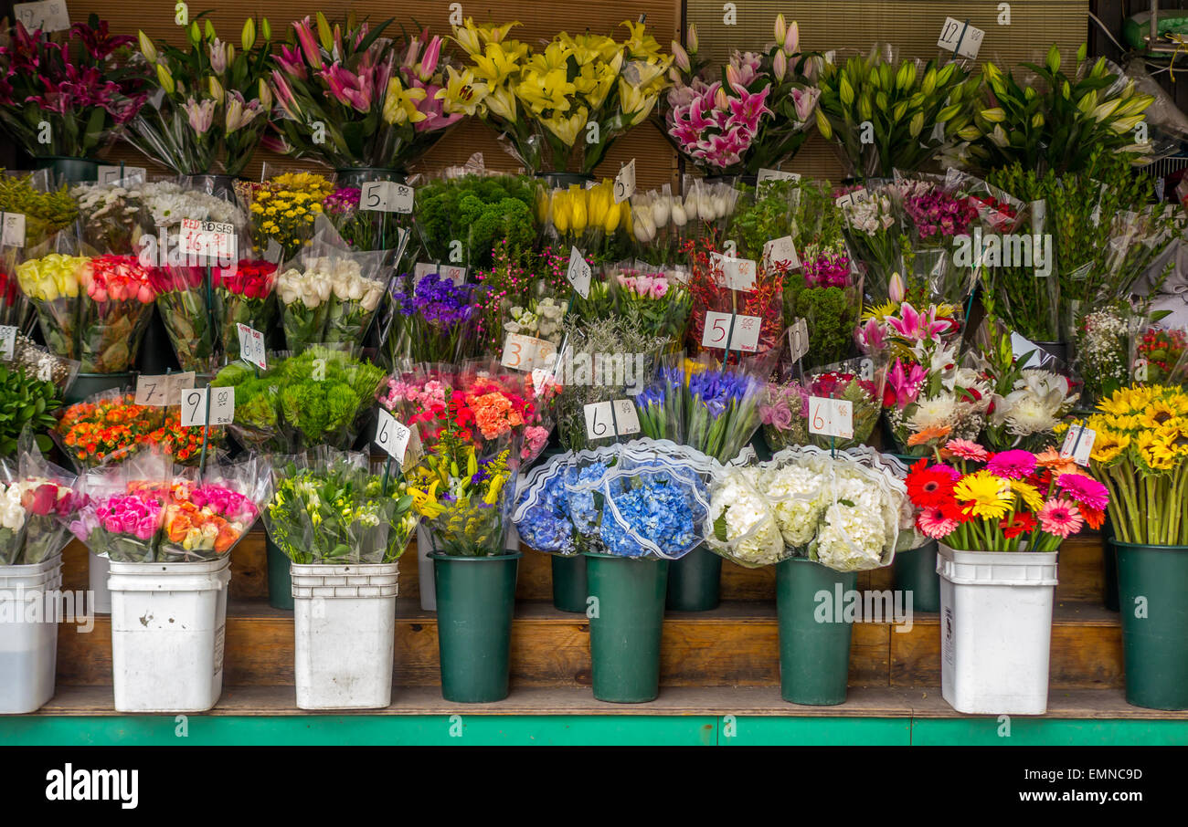 flowers for sale at a shop Stock Photo - Alamy