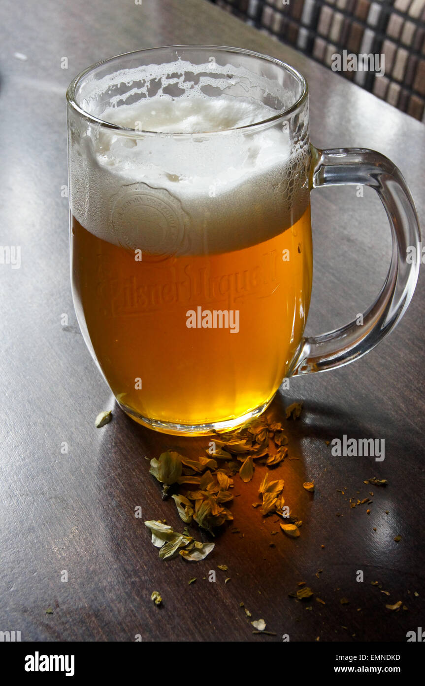 A glass of Pilsner Urquell lager, Wooden Barrel event, lager served ...