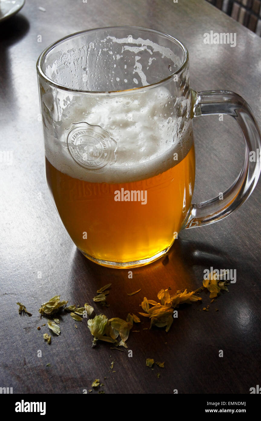 A glass of Pilsner Urquell lager, Wooden Barrel event, lager served ...