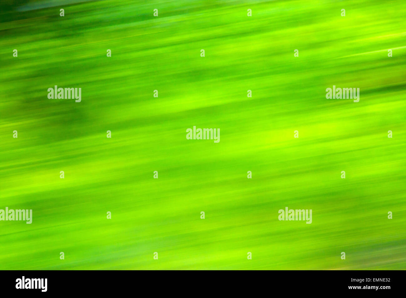 green nature background fast line Stock Photo - Alamy