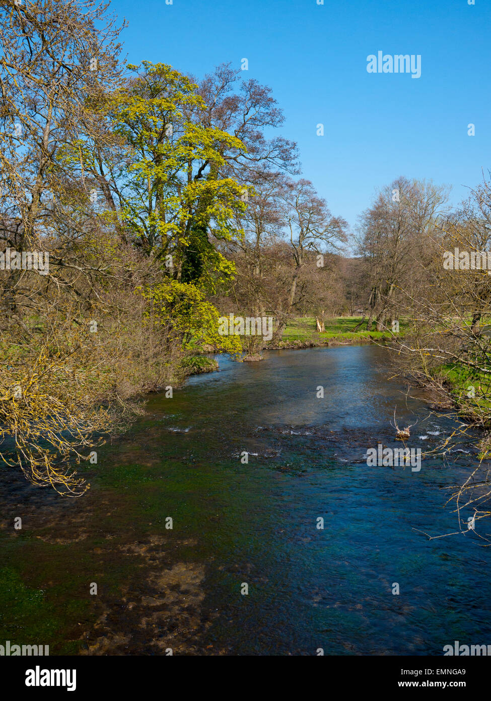 The River Wye at Ashford In The Water, Peak District, Derbyshire ...