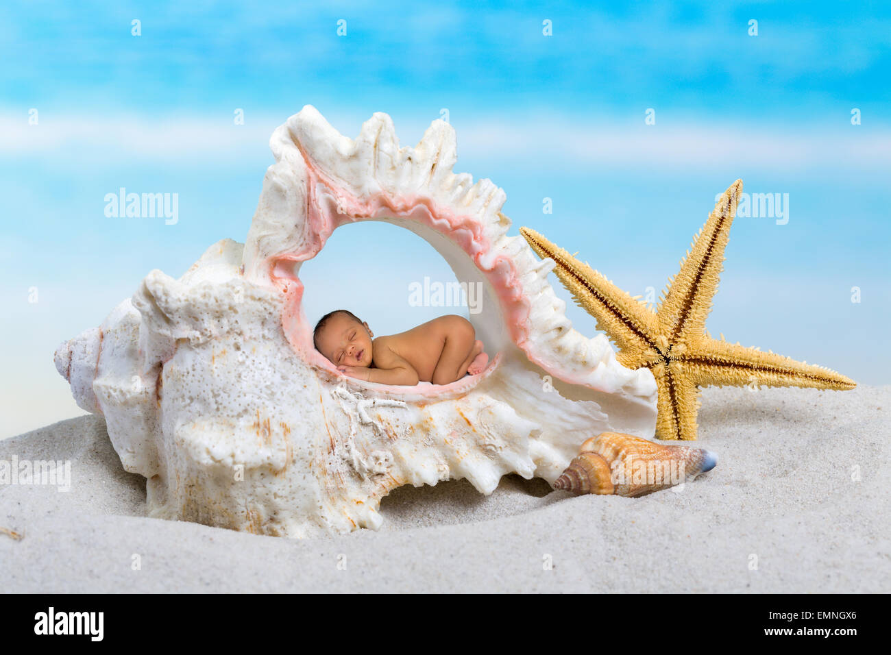 Baby at the beach shell hi-res stock photography and images - Alamy