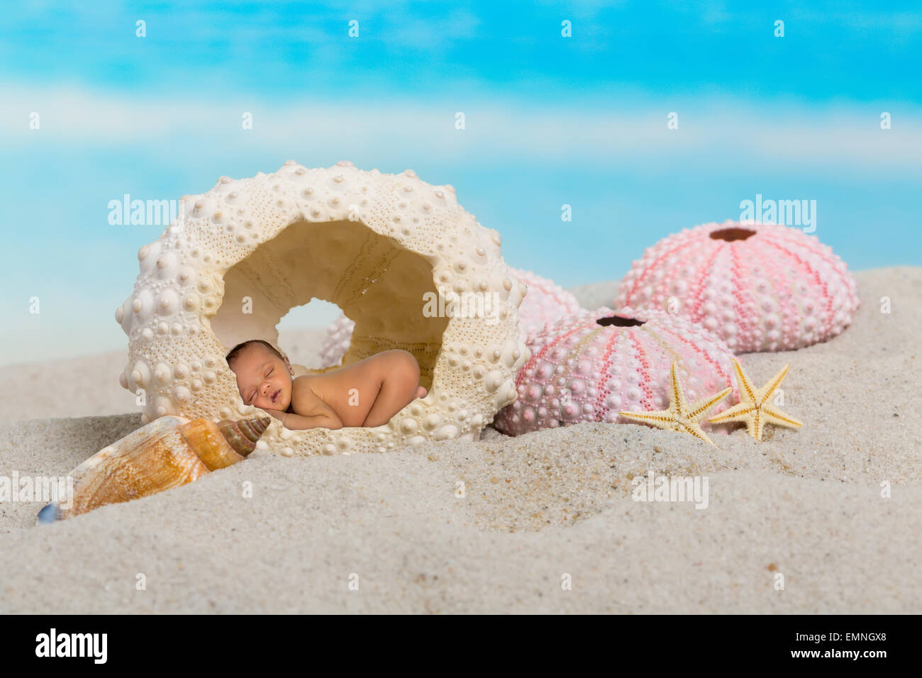 Seashell and child hi-res stock photography and images - Alamy