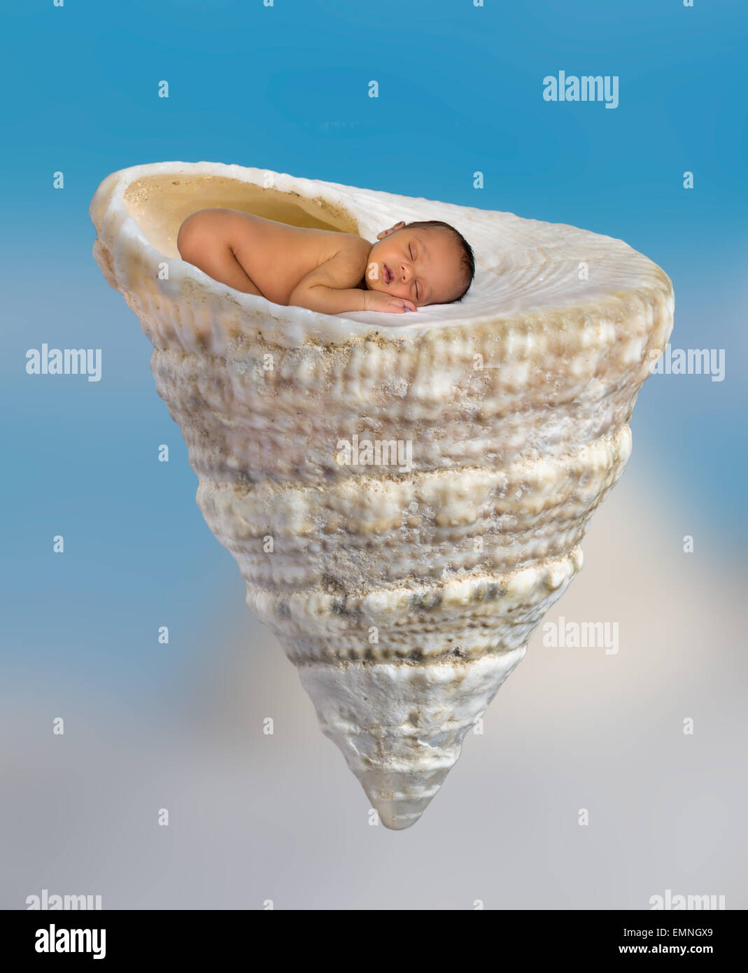 Seashell and child hi-res stock photography and images - Alamy
