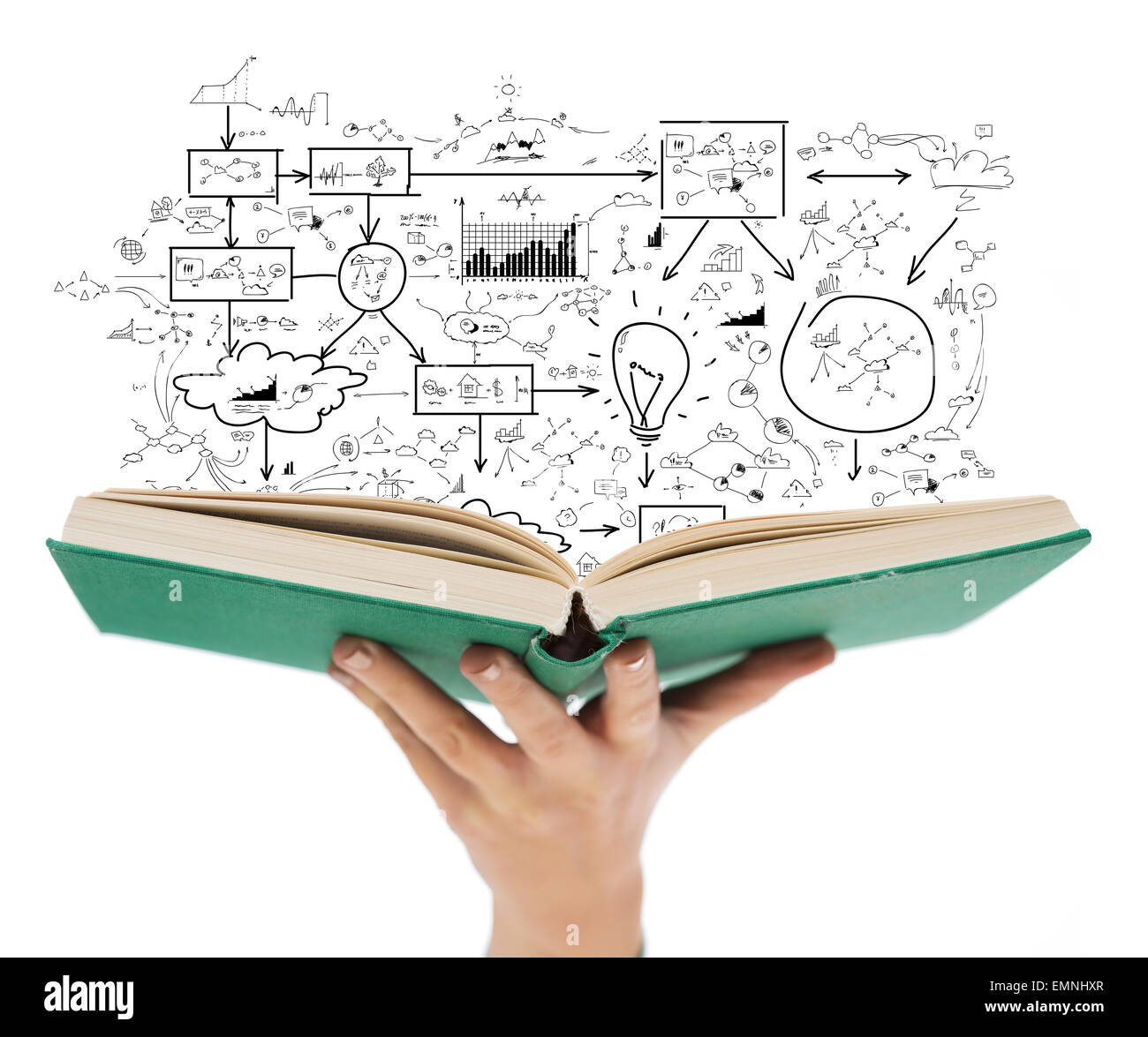 close up of female hand holding open book Stock Photo - Alamy