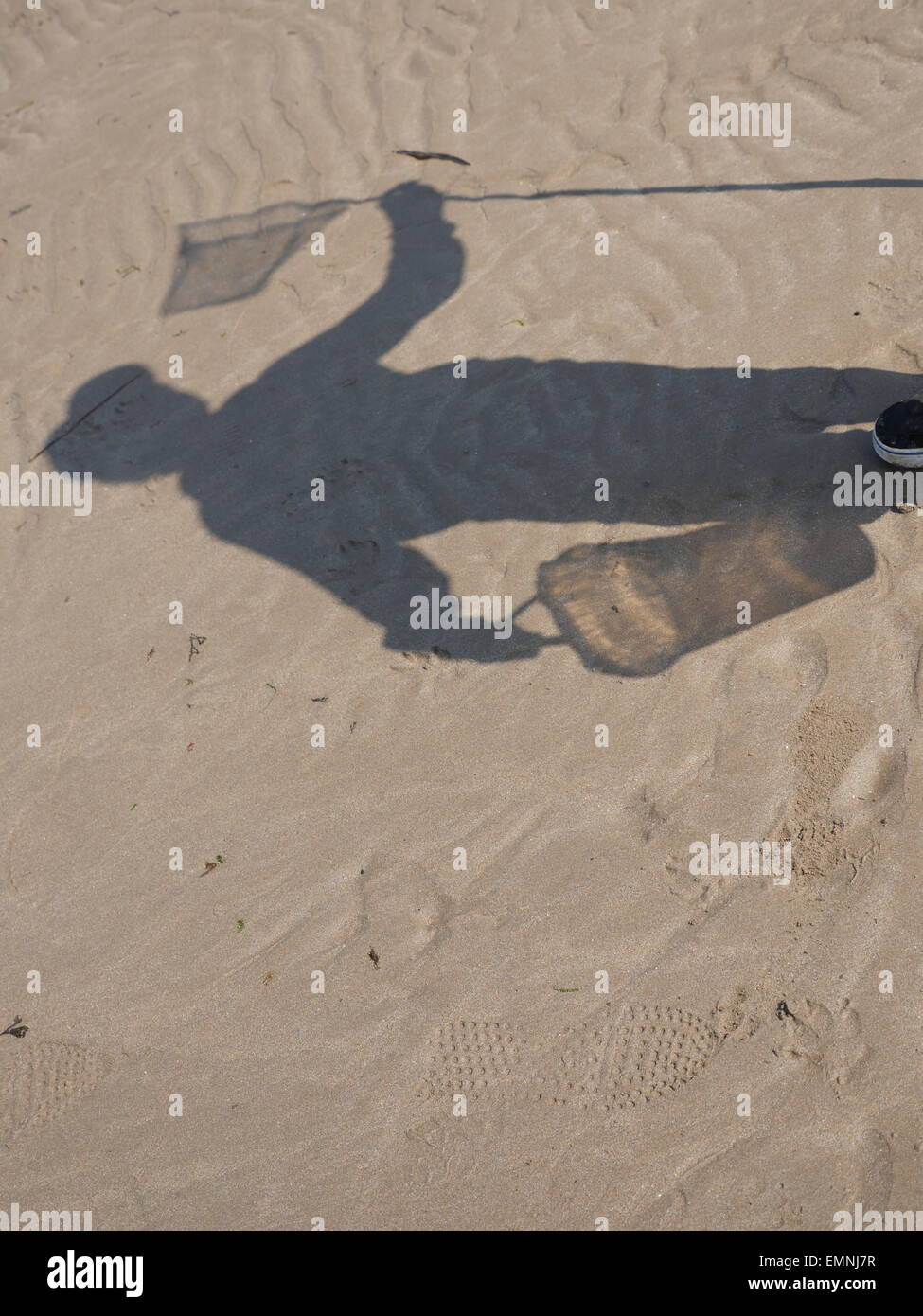 shadow of a boy crabbing on a beacg in Devon UKJ Stock Photo - Alamy