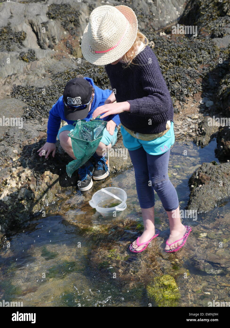 Children rockpooling hi-res stock photography and images - Alamy